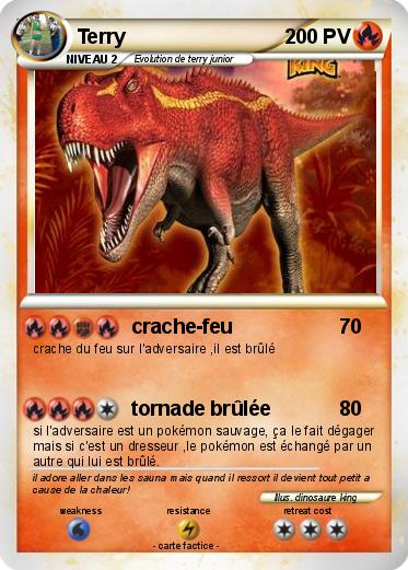 Pokémon Terry 44 44 - crache-feu - Ma carte Pokémon