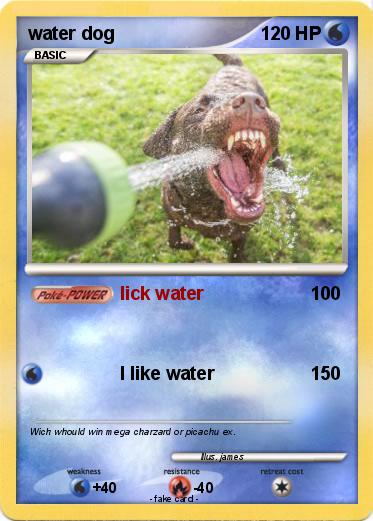 Pokémon water dog 18 18 - lick water - My Pokemon Card