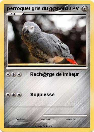Pokémon perroquet gris du g bon - Rech@rge de imiteµr - Ma carte Pokémon