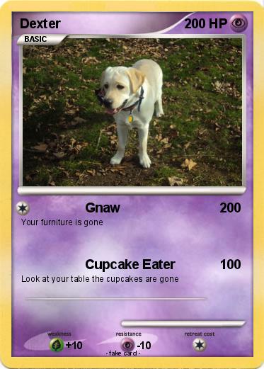 Pokémon Dexter 110 110 - Gnaw - My Pokemon Card