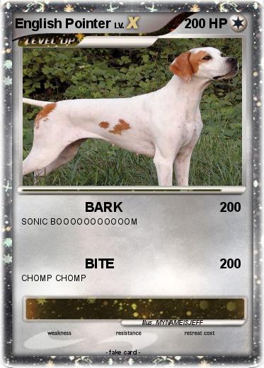 Pokémon English Pointer - BARK - My Pokemon Card