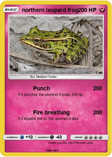 Pokémon northern leopard frog 1 1 - Punch - My Pokemon Card
