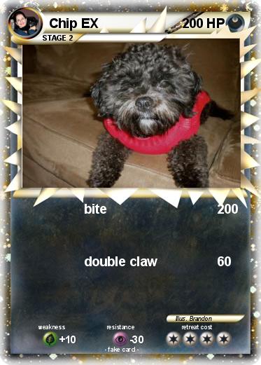 Pokémon Chip 67 67 - bite - My Pokemon Card