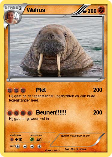 Pokémon Walrus 84 84 - Plet - My Pokemon Card