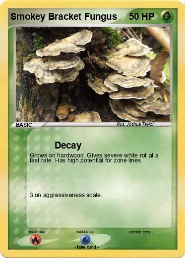 Pokémon Smokey Bracket Fungus - Decay - My Pokemon Card