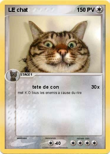 Pokémon LE chat 90 90 - tete de con - Ma carte Pokémon