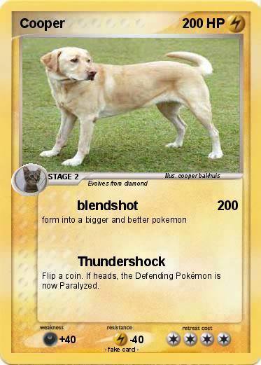 Pokémon Cooper 117 117 - blendshot - My Pokemon Card