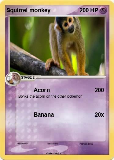 Pokémon Squirrel monkey 3 3 - Acorn - My Pokemon Card
