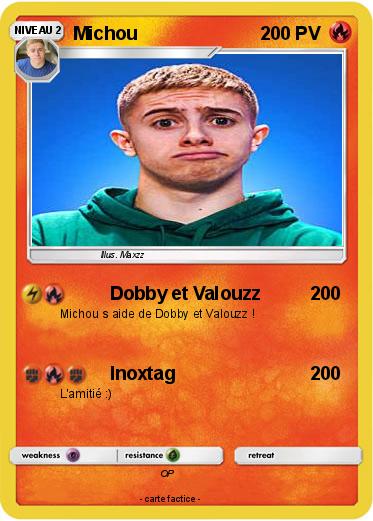 Pokémon Michou 55 55 - Dobby et Valouzz - Ma carte Pokémon