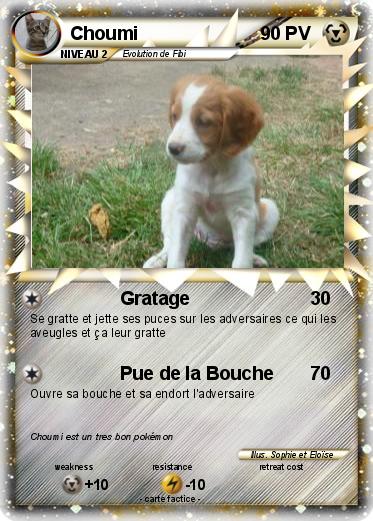 Pokémon Choumi 2 2 - Gratage - Ma carte Pokémon