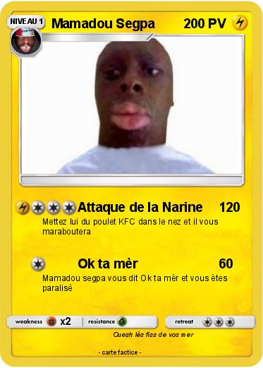 Pokémon Mamadou Segpa 91 91 - Attaque de la Narine - Ma carte Pokémon