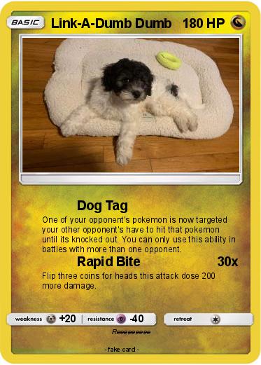 Pokémon Link A Dumb Dumb - Dog Tag - My Pokemon Card