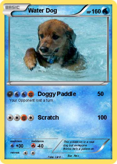 Pokémon Water Dog 19 19 - Doggy Paddle - My Pokemon Card