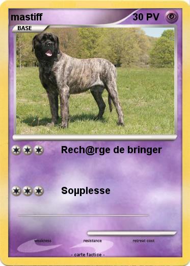 Pokémon mastiff 566 566 - Rech@rge de bringer - Ma carte Pokémon