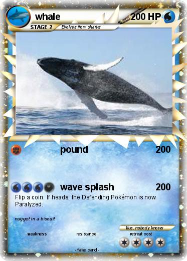 Pokémon whale 112 112 - pound - My Pokemon Card