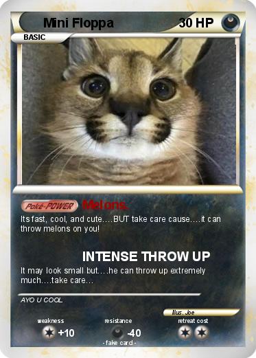 Pokémon Mini Floppa - Melons. - My Pokemon Card