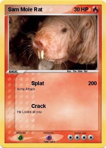 Pokémon Sam Mole Rat 3 3 - Splat - My Pokemon Card