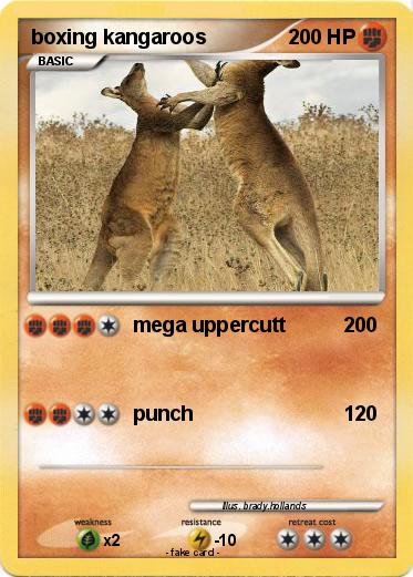 Pokémon boxing kangaroos - mega uppercutt - My Pokemon Card