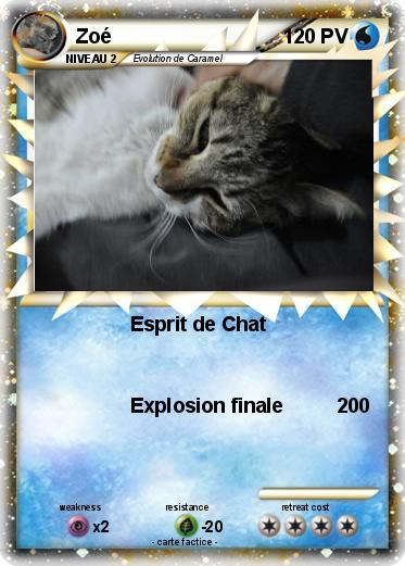Pokémon Zoe 131 131 - Esprit de Chat - Ma carte Pokémon