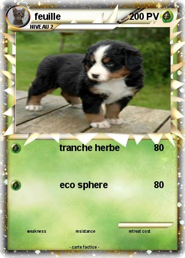 Pokémon feuille 9 9 - tranche herbe - Ma carte Pokémon