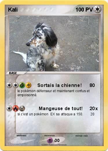 Pokémon Kali - Sortais la chienne! - Ma carte Pokémon