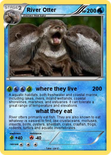 Pokémon River Otter 2 2 - where they live - My Pokemon Card