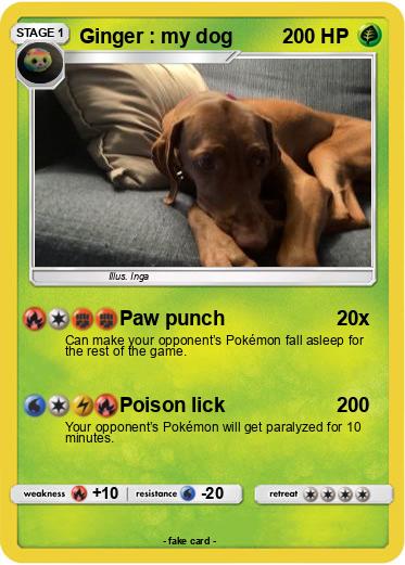 Pokémon Ginger my dog - Paw punch - My Pokemon Card