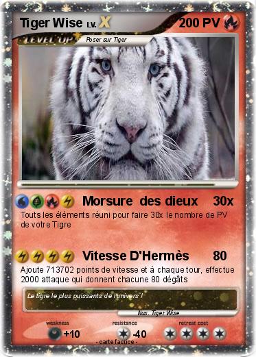 Pokémon Tiger Wise - Morsure des dieux - Ma carte Pokémon