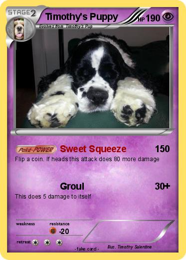 Pokémon Timothy s Puppy - Sweet Squeeze - My Pokemon Card