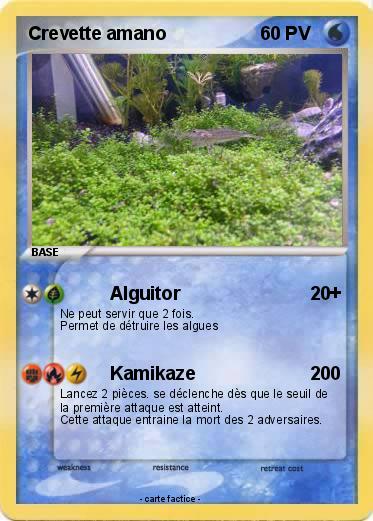 Pokémon Crevette amano - Alguitor - Ma carte Pokémon