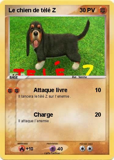 Pokémon Le chien de tele Z - Attaque livre - Ma carte Pokémon