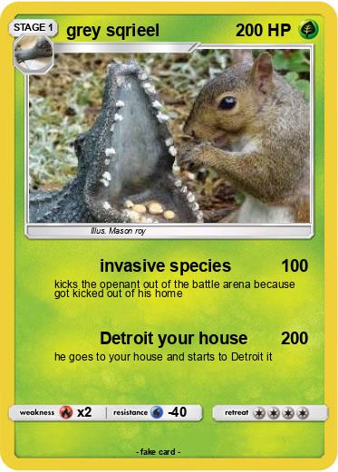 Pokémon grey sqrieel - invasive species - My Pokemon Card