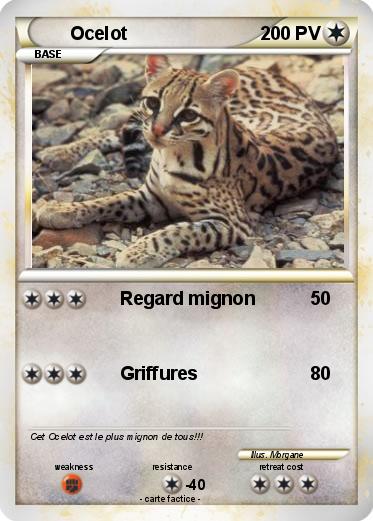 Pokémon Ocelot 8 8 - Regard mignon - Ma carte Pokémon