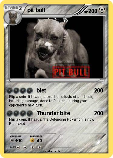 Pokémon pit bull 37 37 - biet - My Pokemon Card