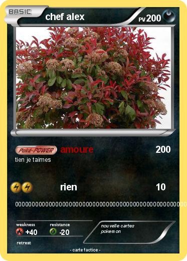 Pokémon chef alex 1 1 - amoure - Ma carte Pokémon