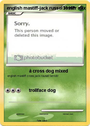 Pokémon english mastiff jack russel - à cross dog mixed - My Pokemon Card