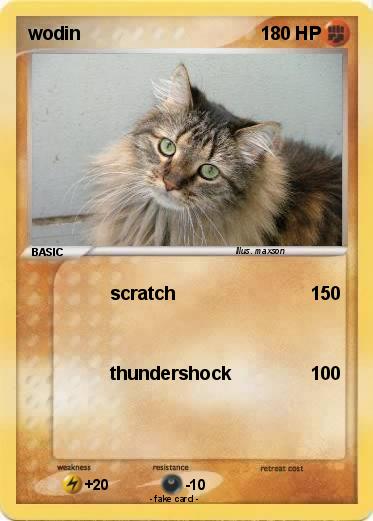 Pokémon wodin 1 1 - scratch - My Pokemon Card