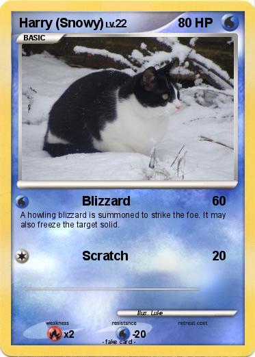 Pokémon Harry Snowy - Blizzard - My Pokemon Card