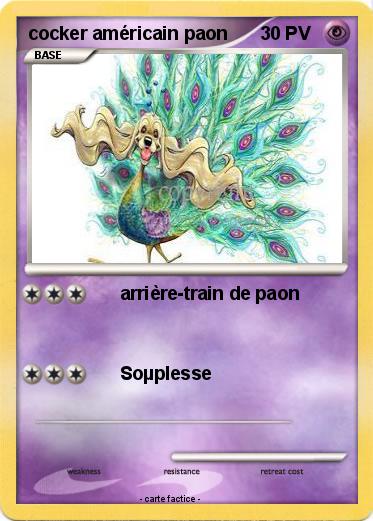 Pokémon cocker americain paon - arrière-train de paon - Ma carte Pokémon