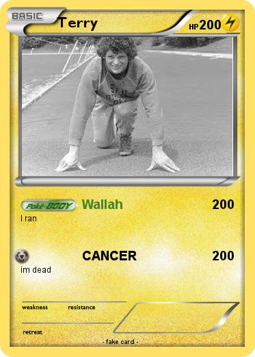 Pokémon Terry 234 234 - Wallah - My Pokemon Card