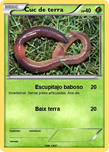 Pokémon Cuc de terra 1 1 - Escupitajo baboso - Mi carta pokémon