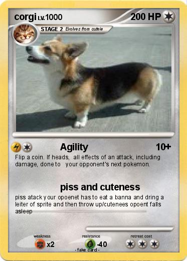 Pokémon corgi 24 24 - Agility - My Pokemon Card