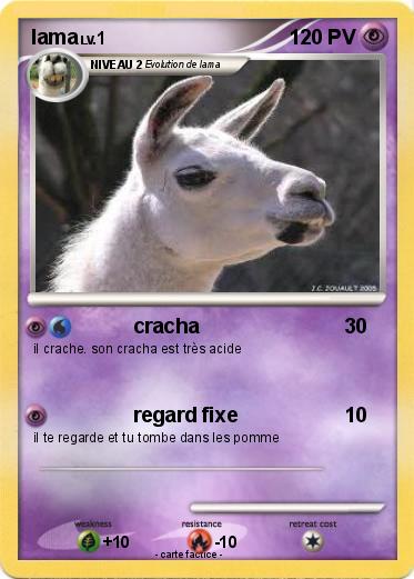 Pokémon lama 9 9 - cracha - Ma carte Pokémon