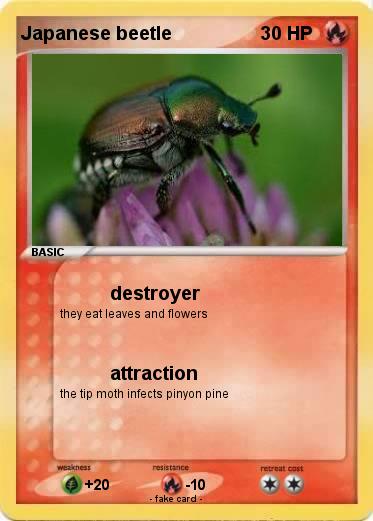 Pokémon Japanese beetle 1 1 - destroyer - My Pokemon Card