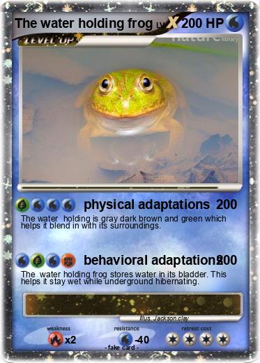 Pokémon The water holding frog 12 12 - physical adaptations - My ...