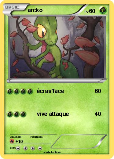 Pokémon arcko 100 100 - écras'face - Ma carte Pokémon