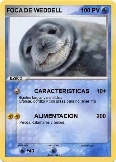 Pokémon FOCA DE WEDDELL - CARACTERISTICAS - Mi carta pokémon