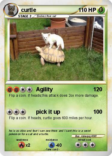 Pokémon curtle - Agility - My Pokemon Card