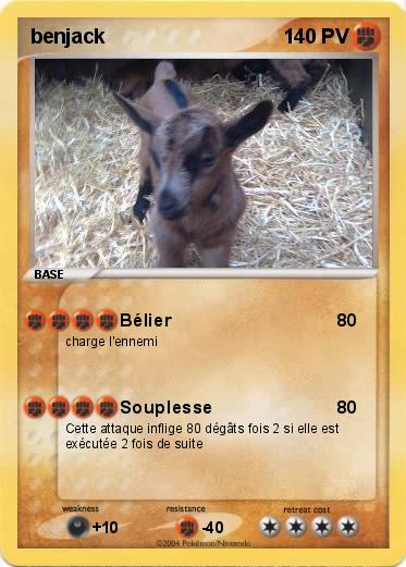 Pokémon benjack - Bélier - Ma carte Pokémon