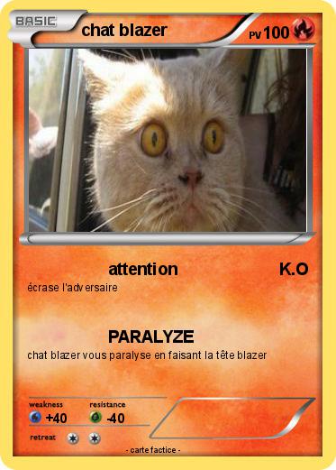 Pokémon chat blazer - attention K.O - Ma carte Pokémon